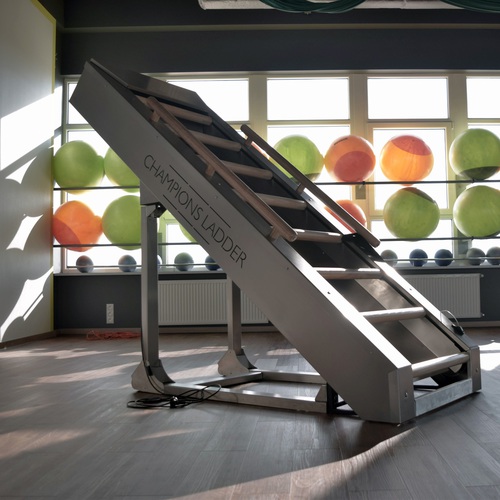 Champions ladder | Spartan Training